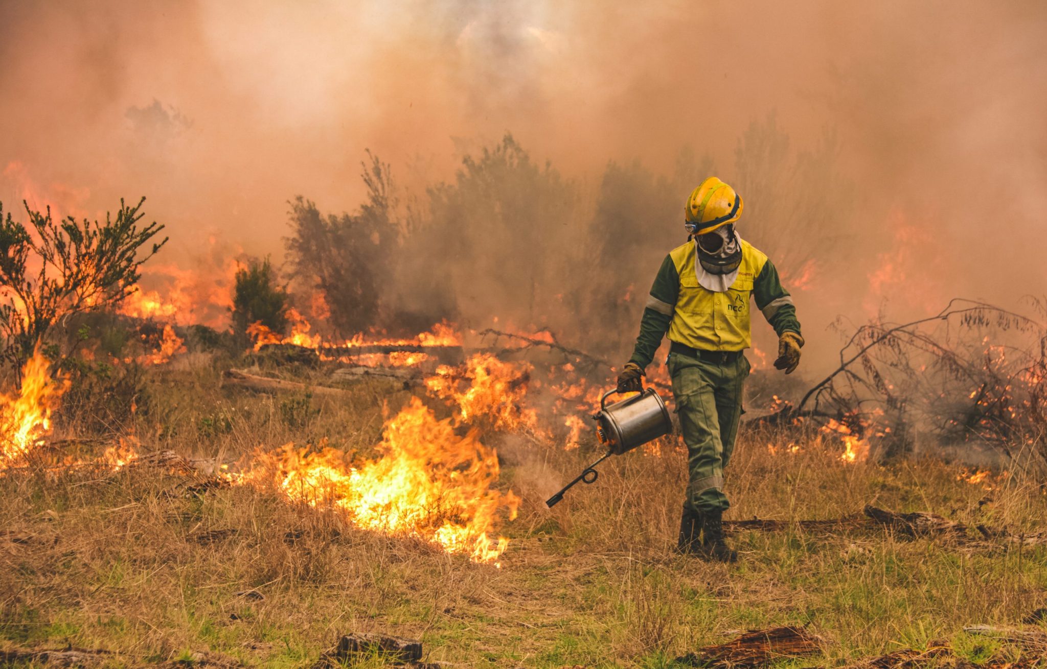Control/Prescribed Burning – Cape Peninsula Fire Protection Association